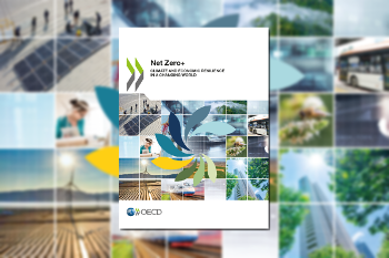 Accelerating climate action: 12 steps for governments to build climate ...