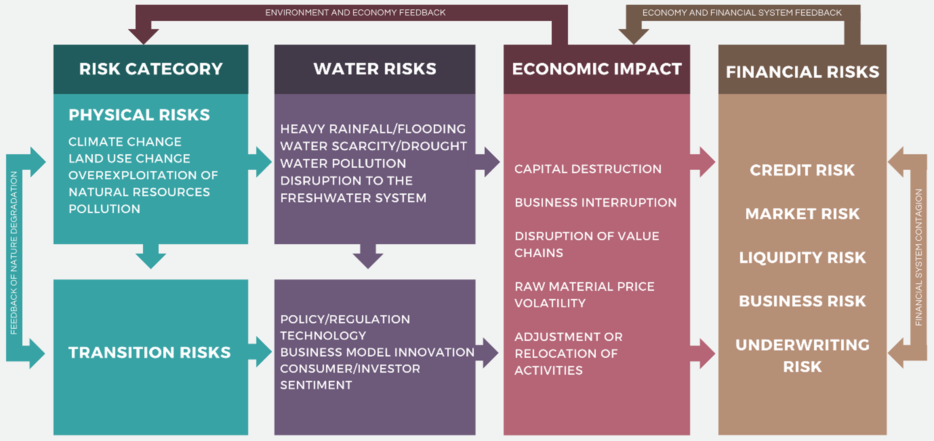 Why does the financial sector need to think about water risks ...